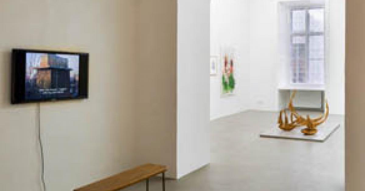 Dominik Steiger current